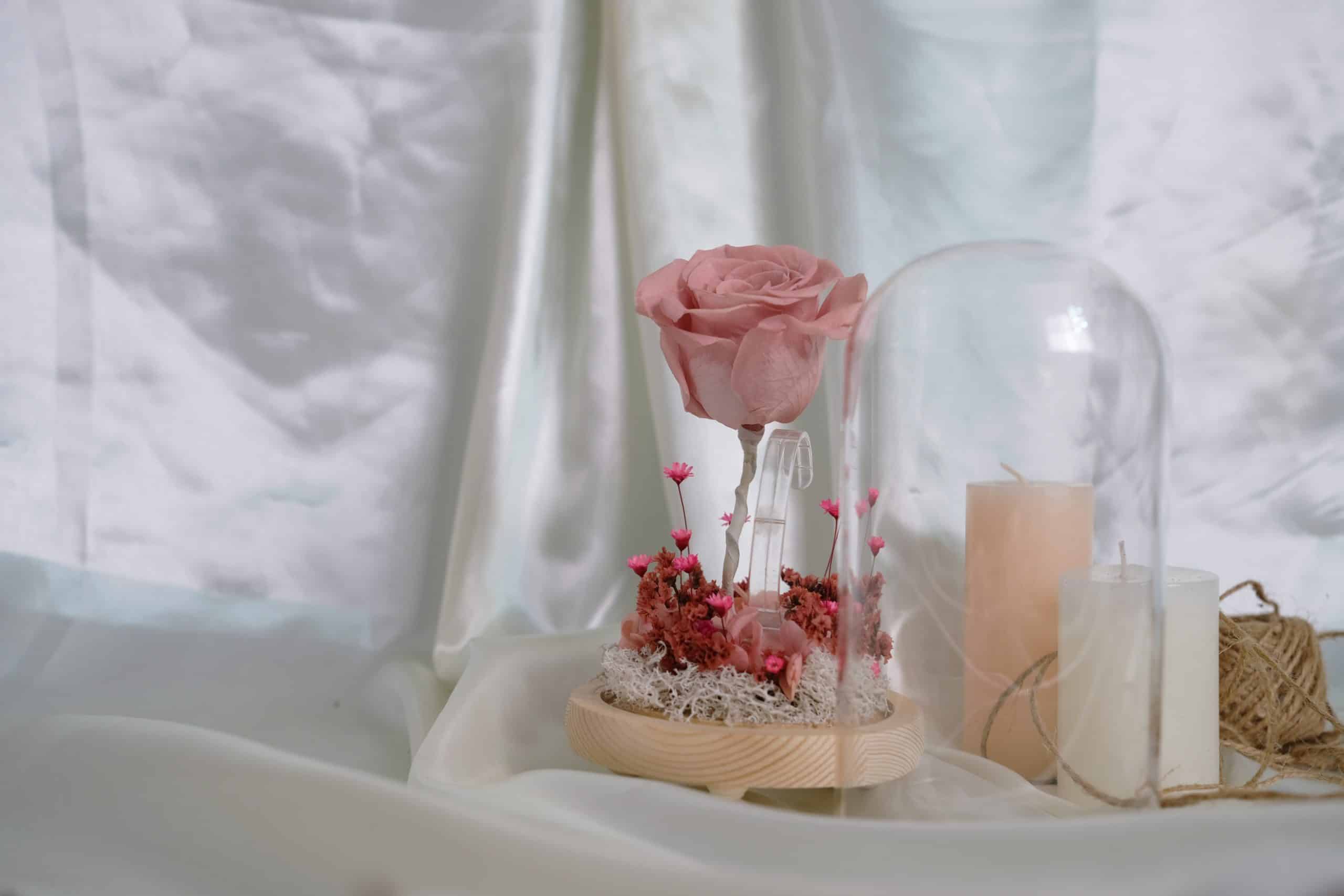 Eternal Bloom Dusty Pink – ENOMES.co